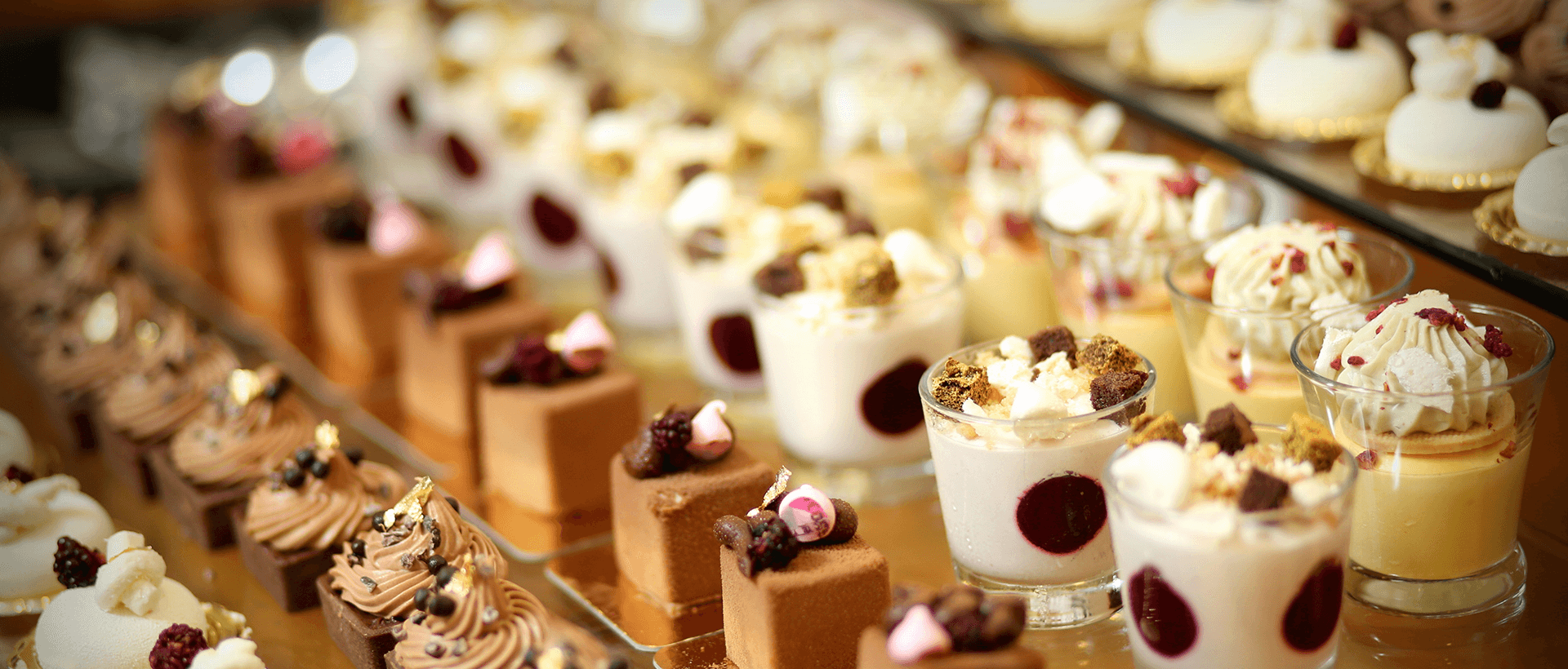 דף הבית - מלכי אדלר